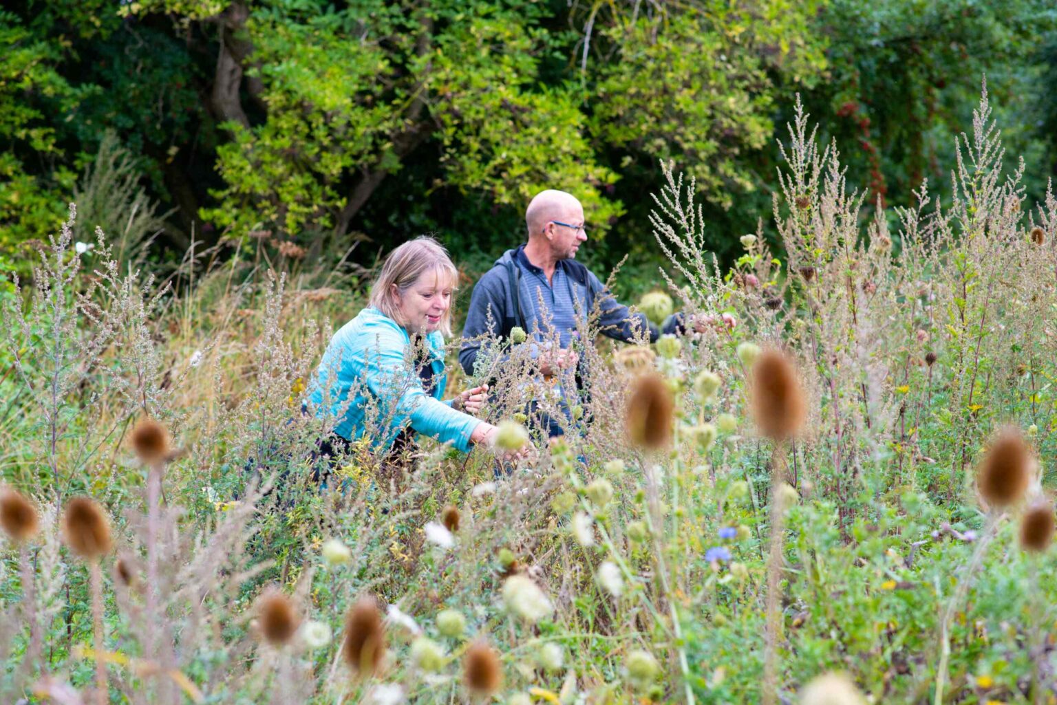 Wild at Heart1 - AroundTown Magazine